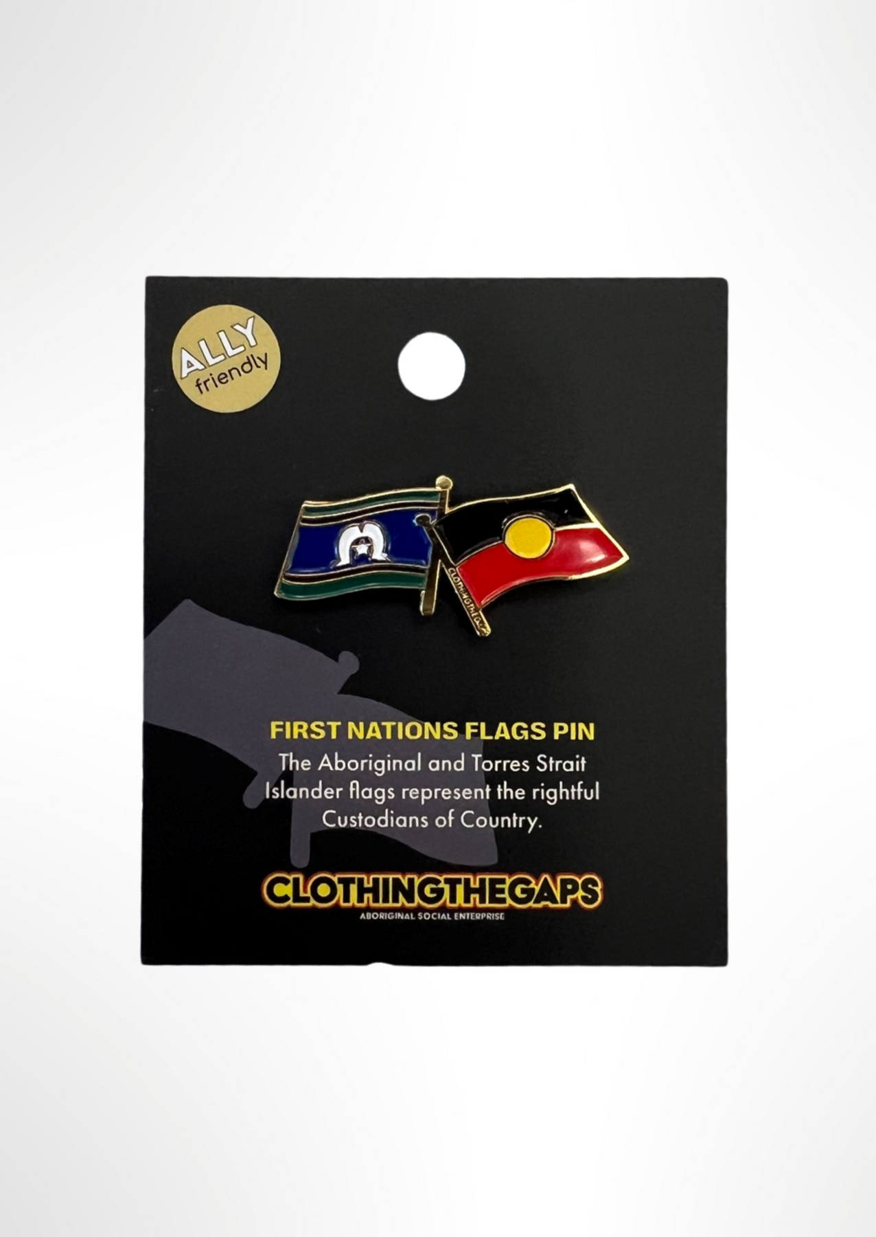 First Nation Flags Pin – Clothing The Gaps